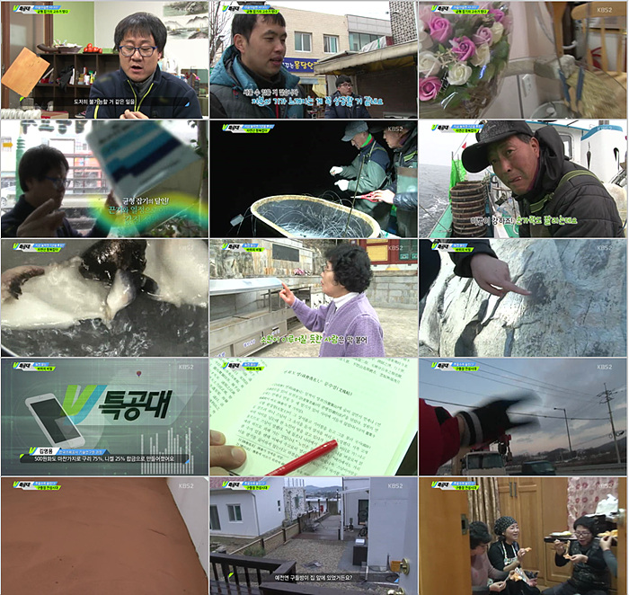 [KBS2] 151204.VJ 특공대 「지금 놓치면 1년을 후회! 자연산 참복 잡이 外」. - 예스파일