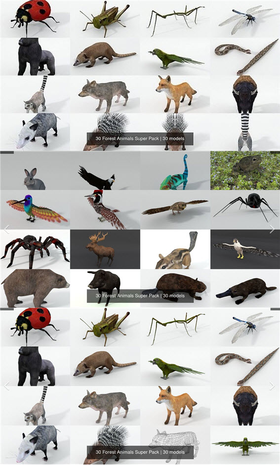 [모델링 소스] Cgtrader - 3D Model Collection 3 Mar 2019 - 예스파일